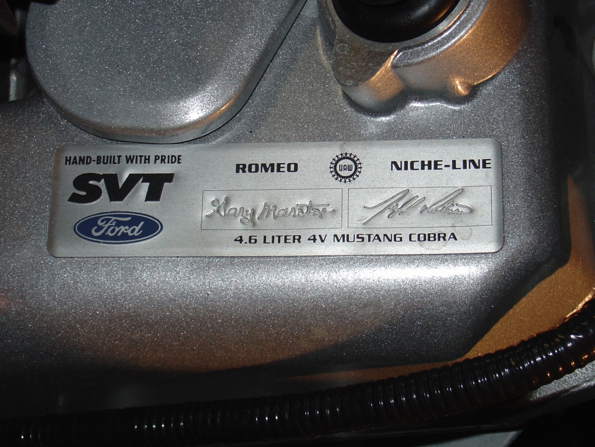 04SNAKE Race team Pictures